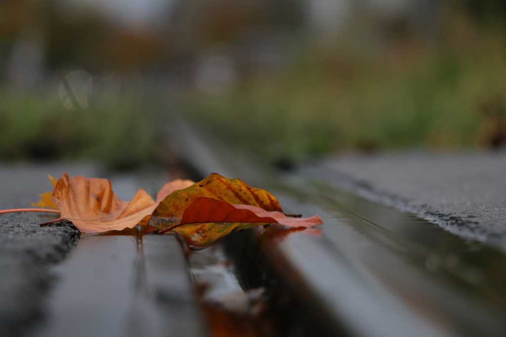 Startseite - VBZ Online